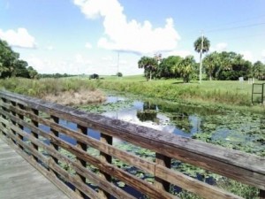 winding-waters-natural-area-wpb-first-bridge – West Palm Beach Parks