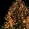 Christmas Tree Lighting Events WPB area – West Palm Beach Parks